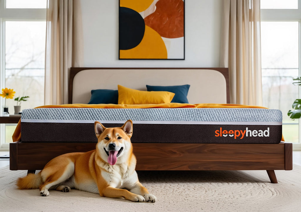 Sleepyhead Mattress — Sleepbee